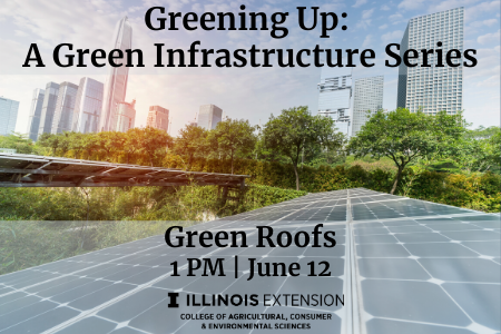 Green Infrastructure Webinar Series: Green Roofs | Serving Boone ...