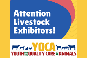 4-H in Calhoun, Cass, Greene, Morgan and Scott Counties: Serving ...