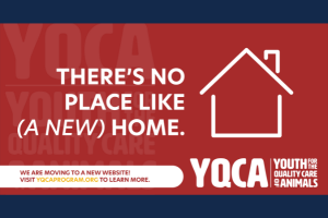 4-H in DeKalb County: Serving Boone, DeKalb and Ogle Counties ...