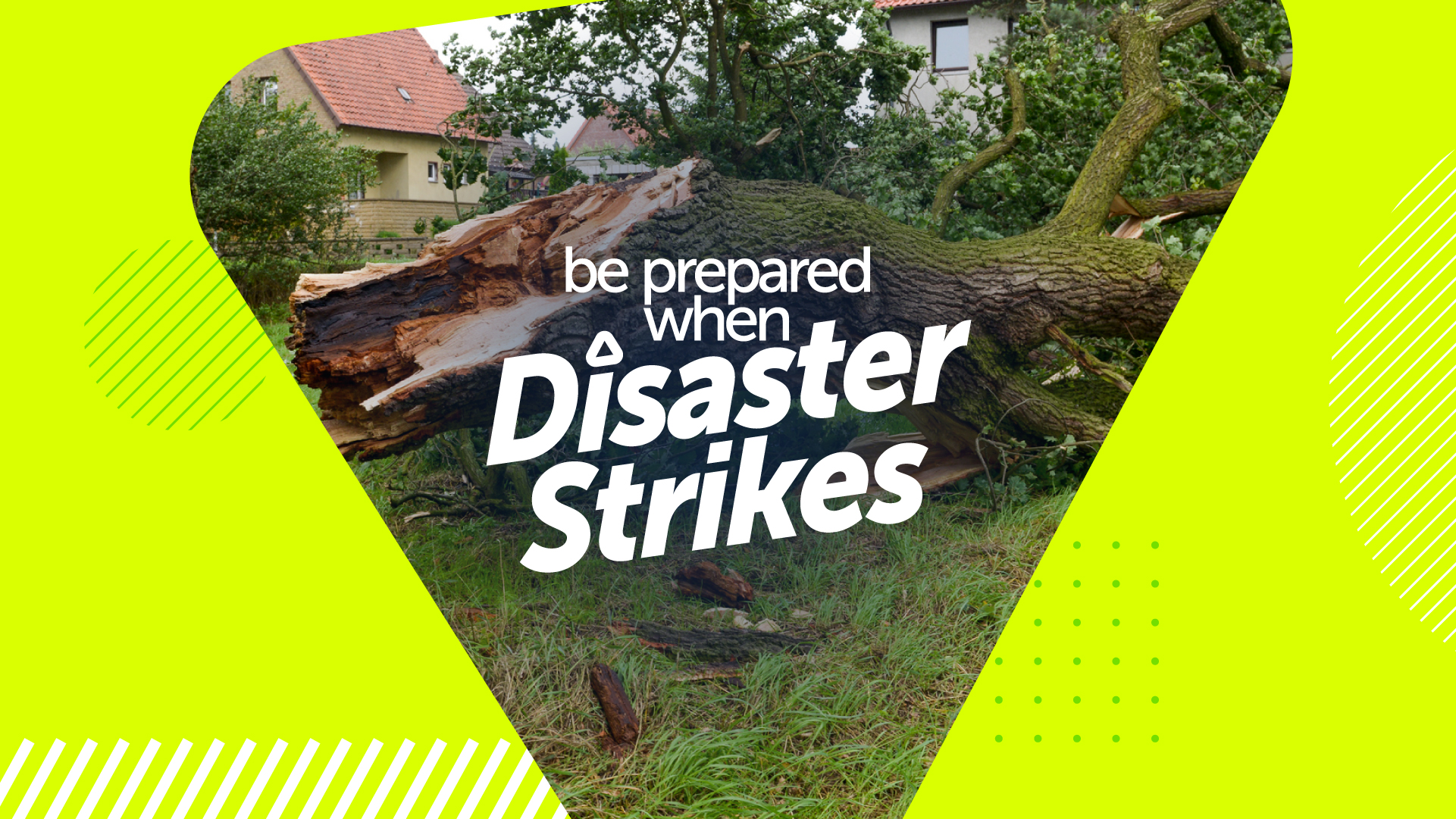 Tree Management Before and After a Disaster | Be Prepared When Disaster ...