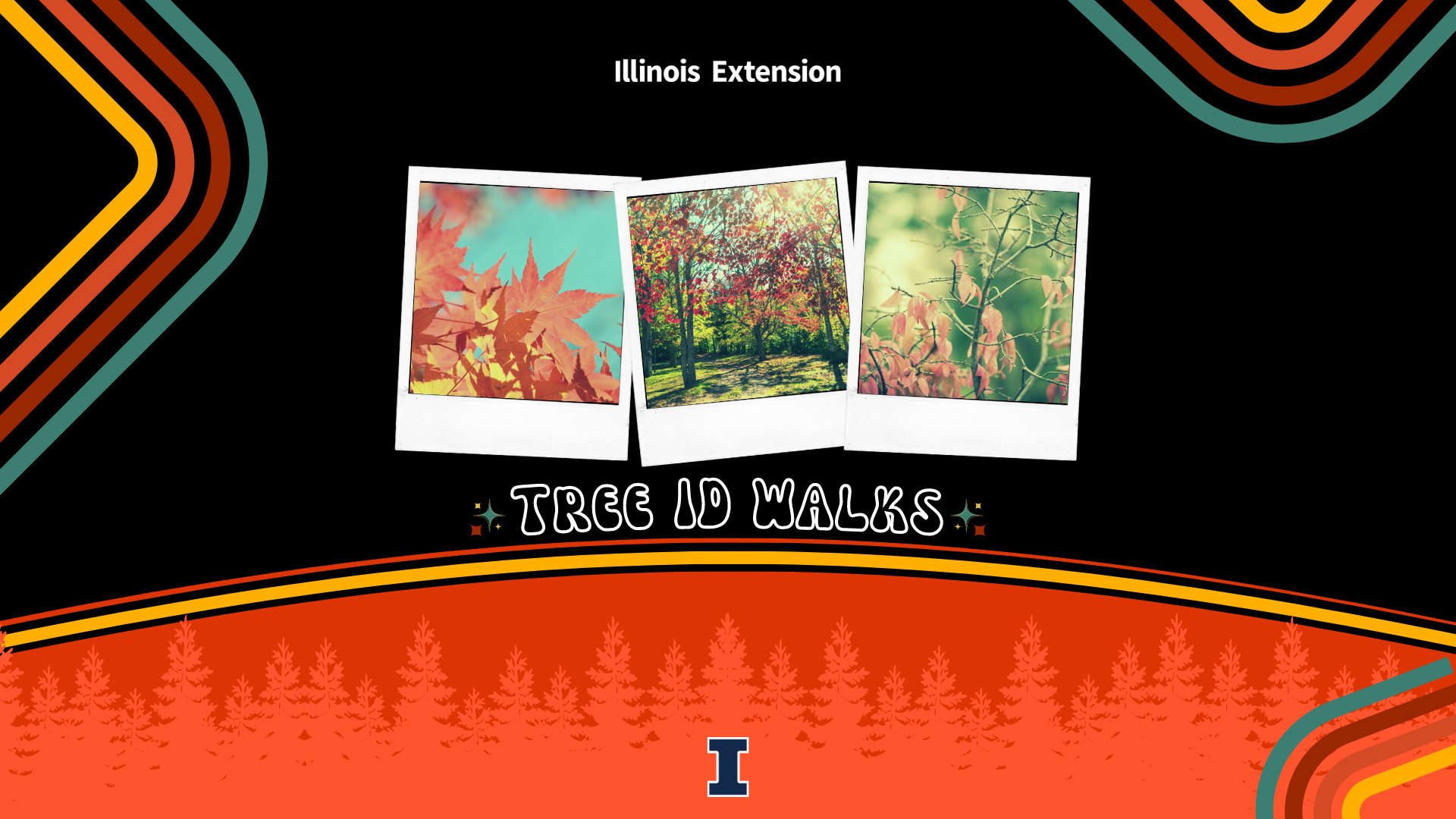 Tree ID Walk | DeWitt, Macon and Piatt Counties | Serving DeWitt, Macon ...