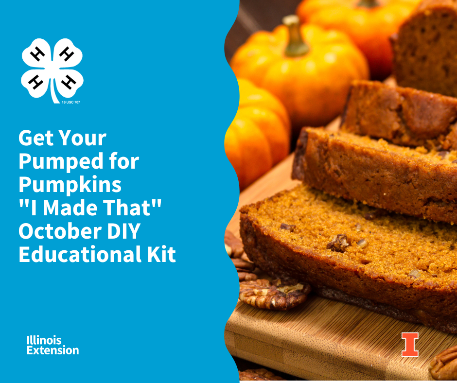 Pumped for Pumpkins I Made That October DIY | Serving Henry, Mercer ...