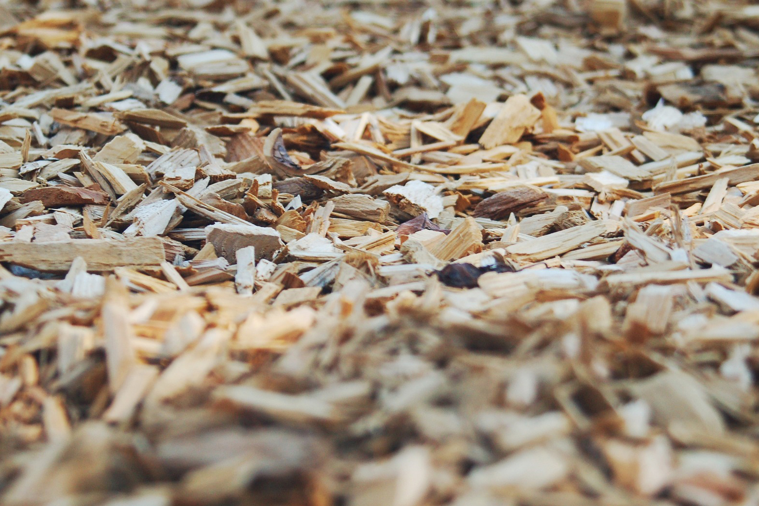 Make the most of mulch by choosing from living, synthetic, inorganic ...