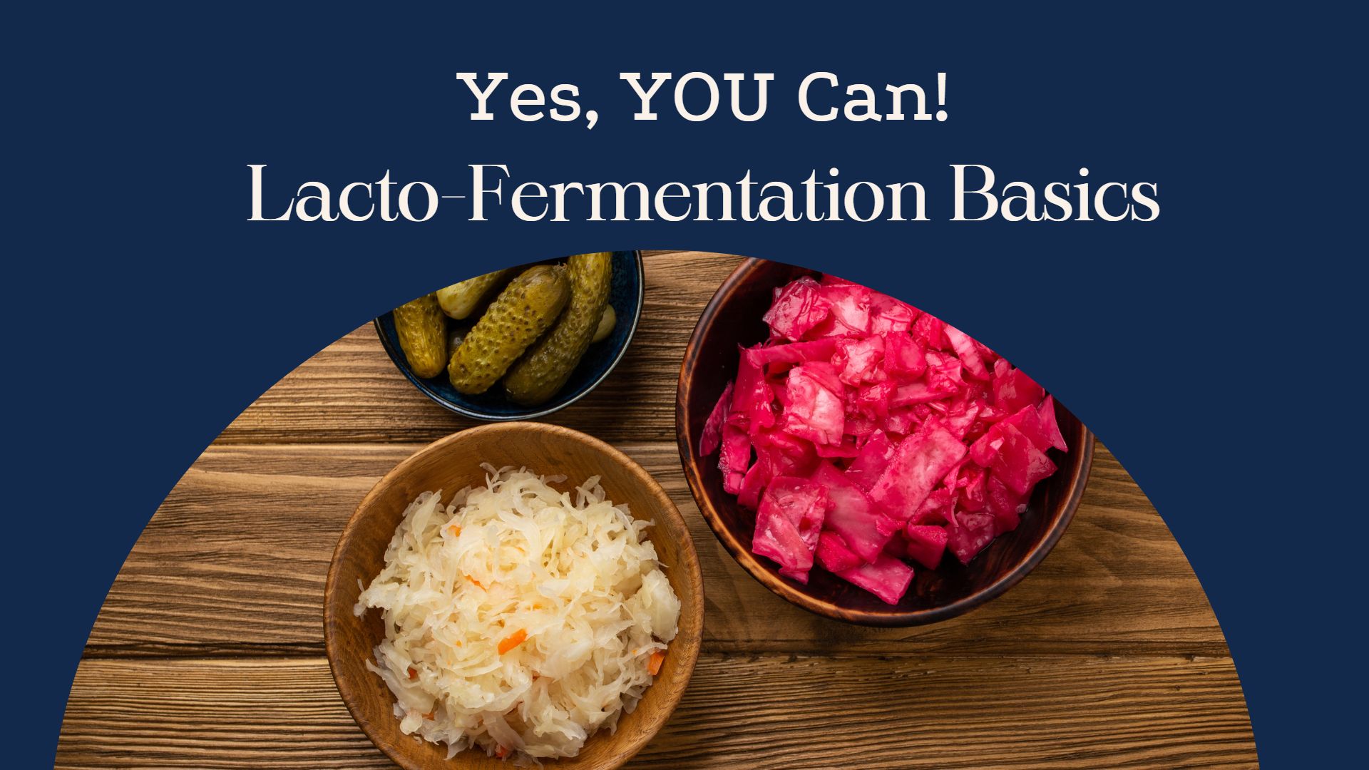 YES, You Can! Preserve it Safely: The Art of Fermentation: Lacto ...