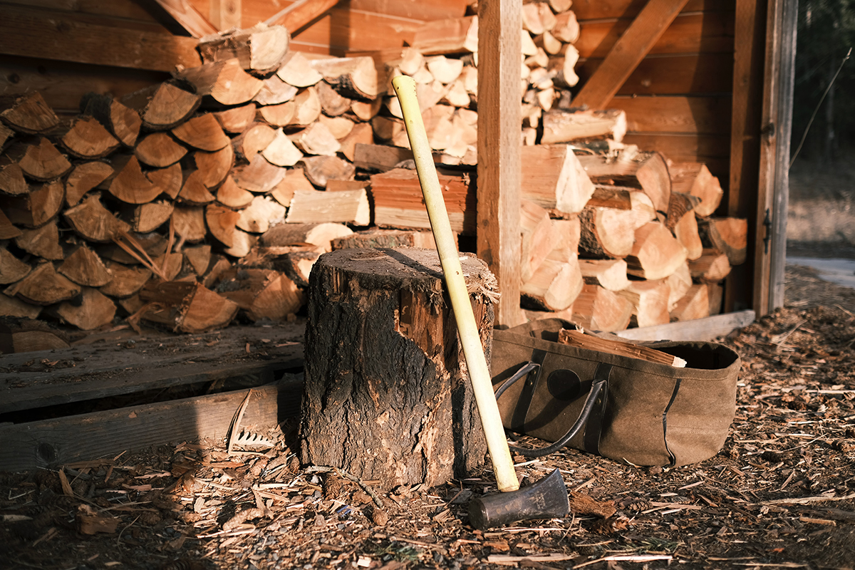 Burning local firewood this winter can save forests | Illinois ...