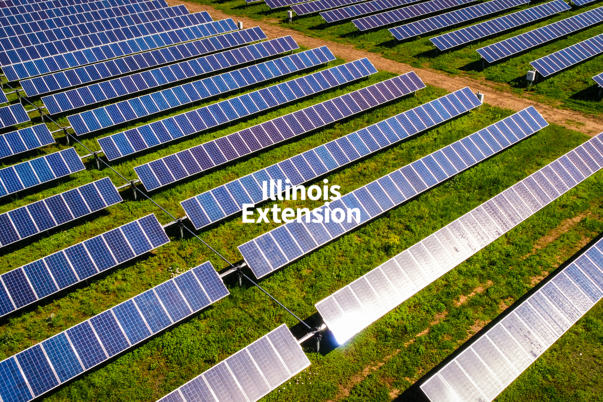 Emerging technology allows solar panels and agriculture to coexist ...