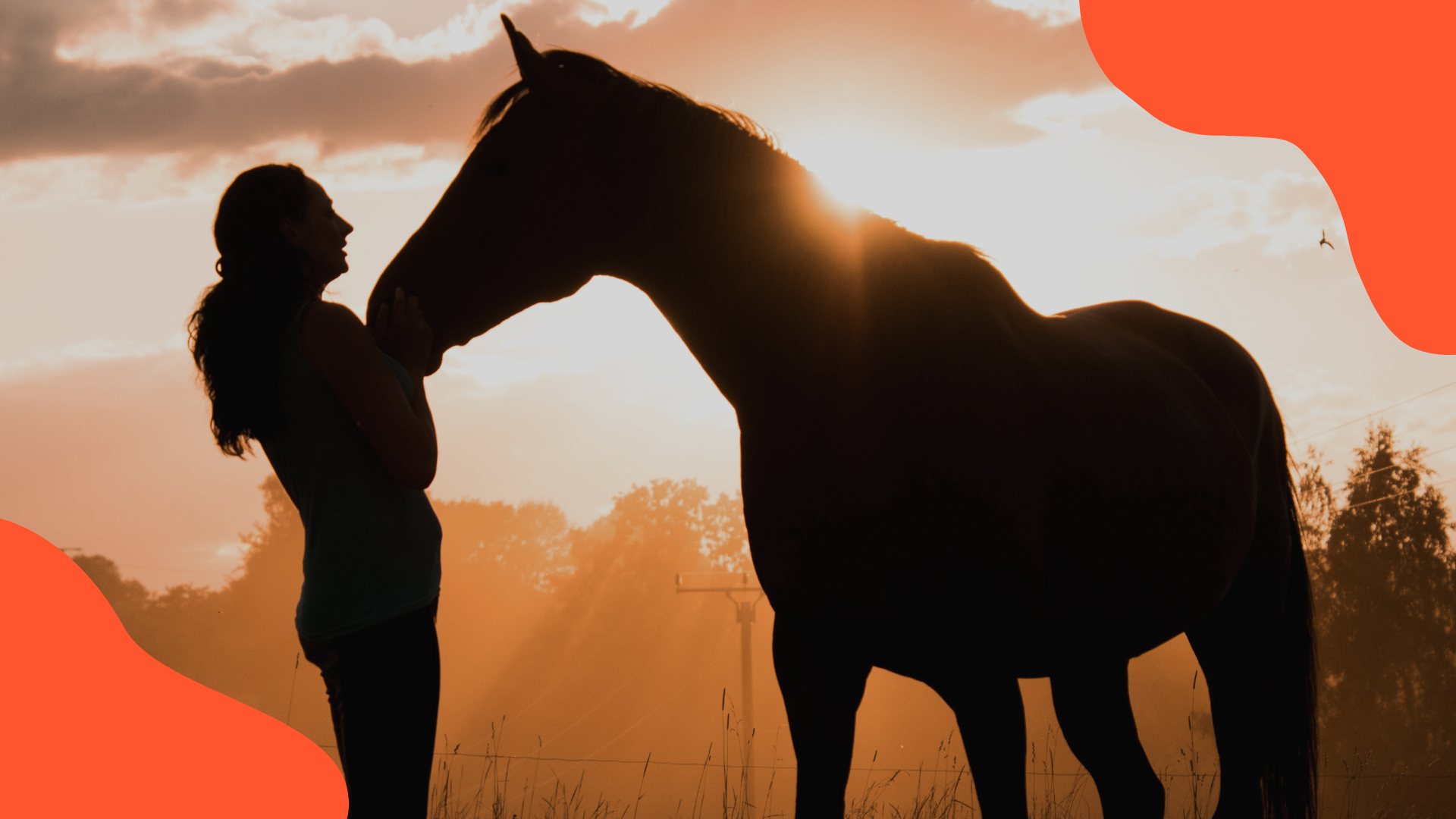 Jackson, Perry, Randolph & Williamson County 4-H Horse Show | Serving ...