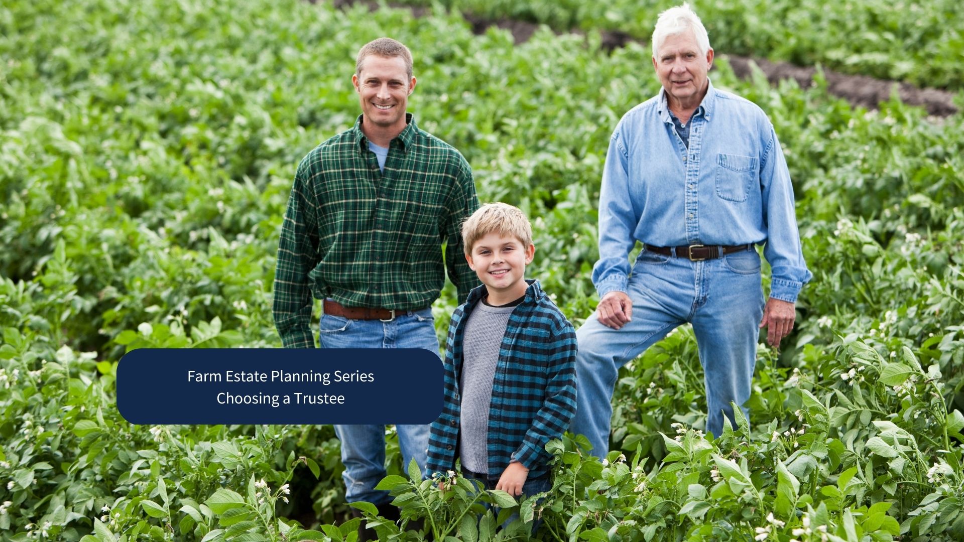 Farm Estate Planning Series: Choosing a Trustee | Serving Fulton, Mason ...