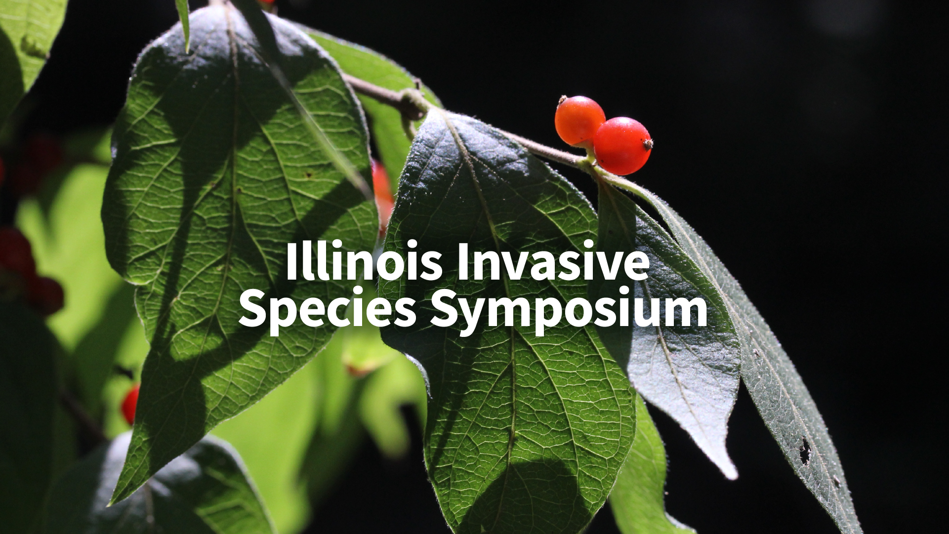 Illinois Invasive Species Symposium | Invasives | Illinois Extension | UIUC