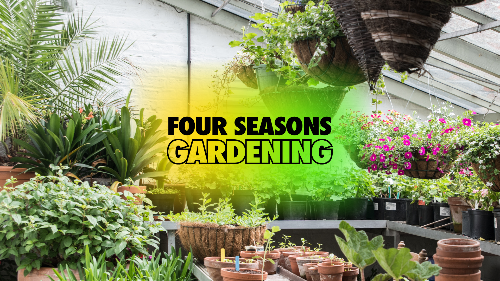 Before the Build: Considerations for Backyard Greenhouses | Serving ...