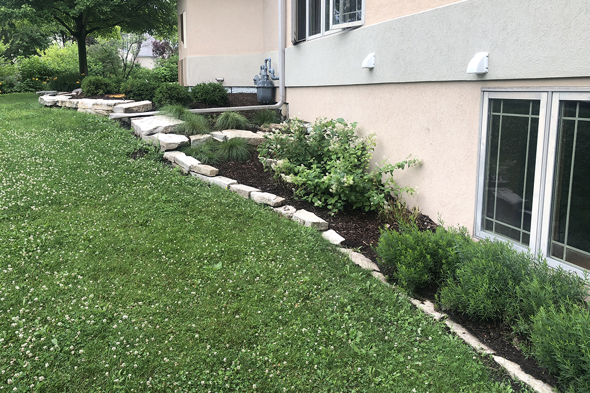 Go green with eco-friendly lawn care | Plant Clinic | Illinois ...