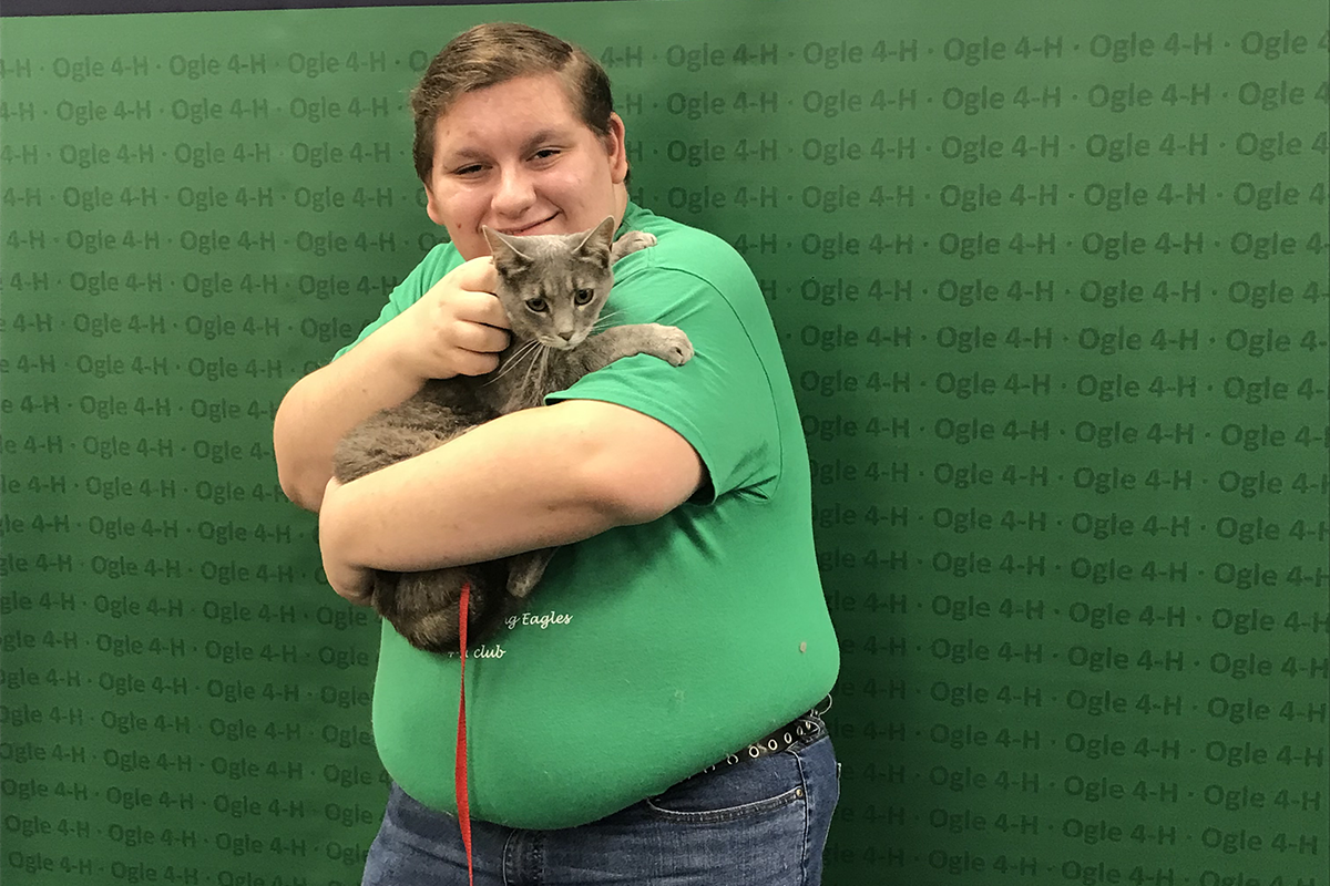 Ogle County 4-H Fair cat show award winners | Serving Boone, DeKalb and ...