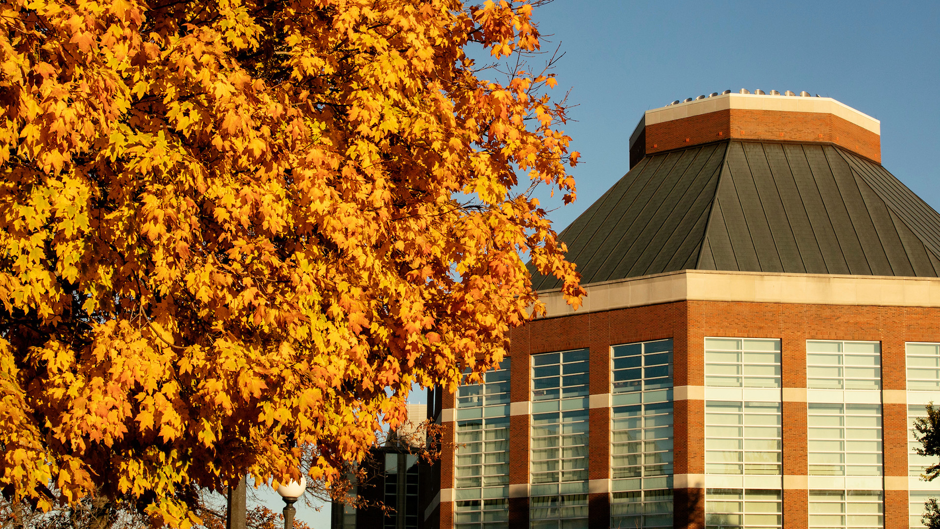 Extension Collaboration Grant Informational Session | Serving Calhoun ...