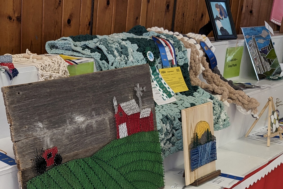 4-H members earn awards at county shows | Serving Logan, Menard and ...