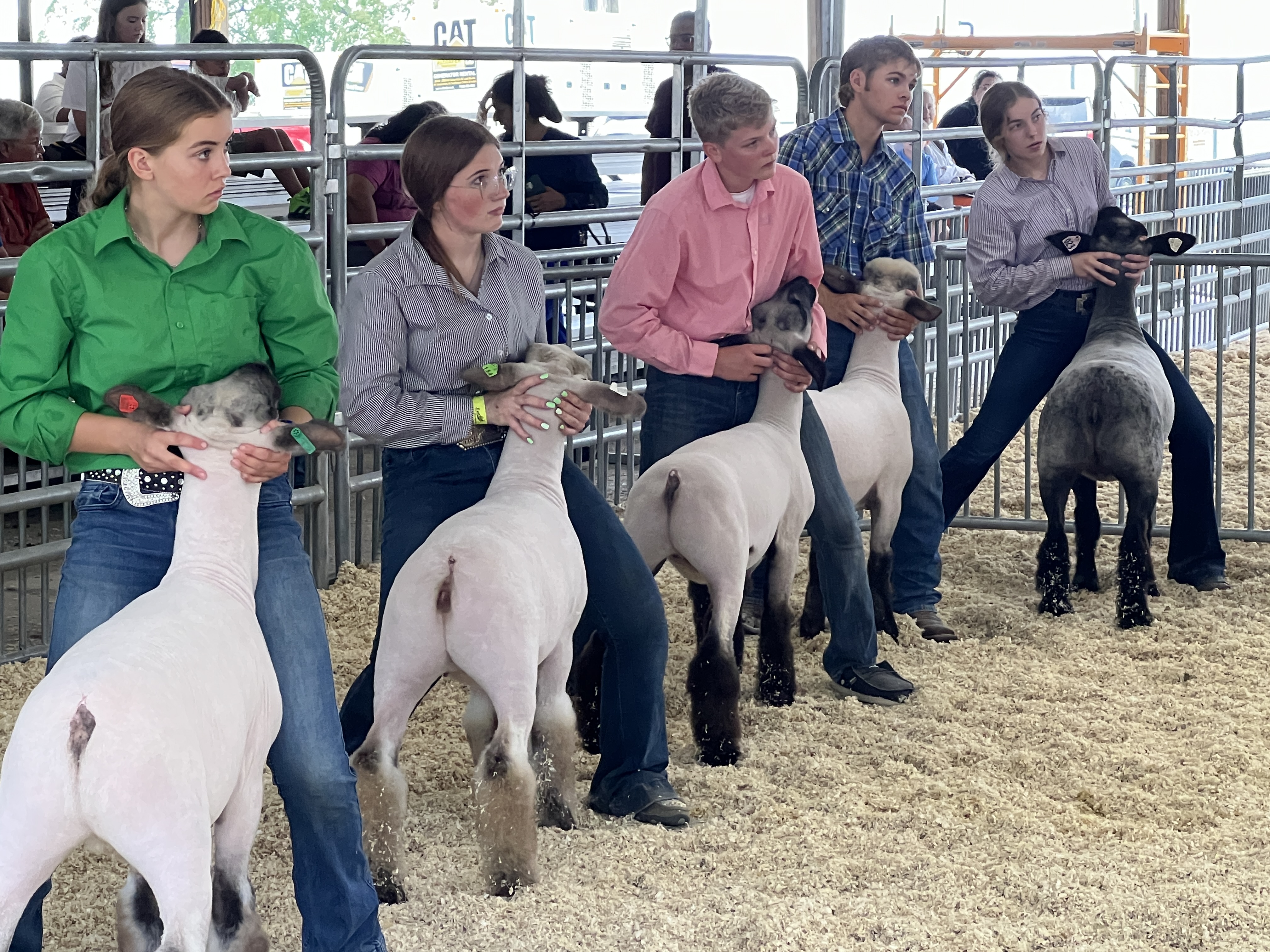 Kendall County Fair: Extension’s Eisnaugle celebrated and 4-H youth ...