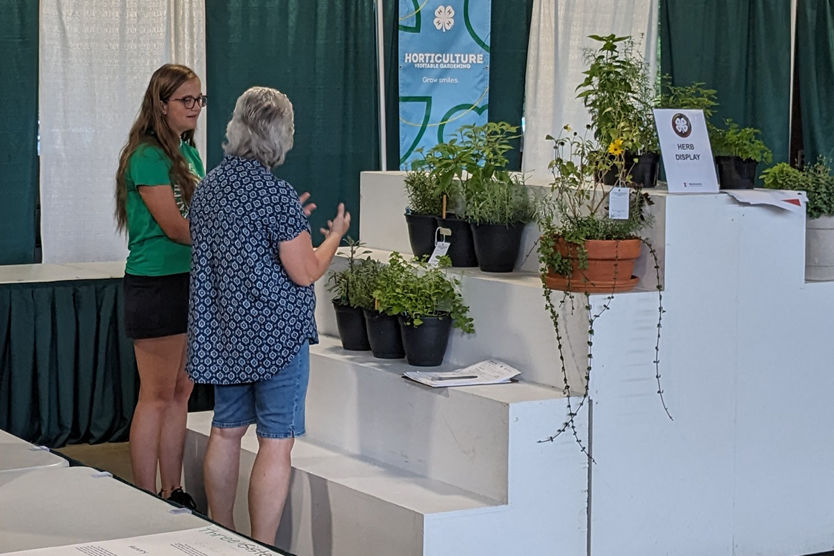 Local 4-H members earn awards at Illinois State Fair | Serving Logan ...