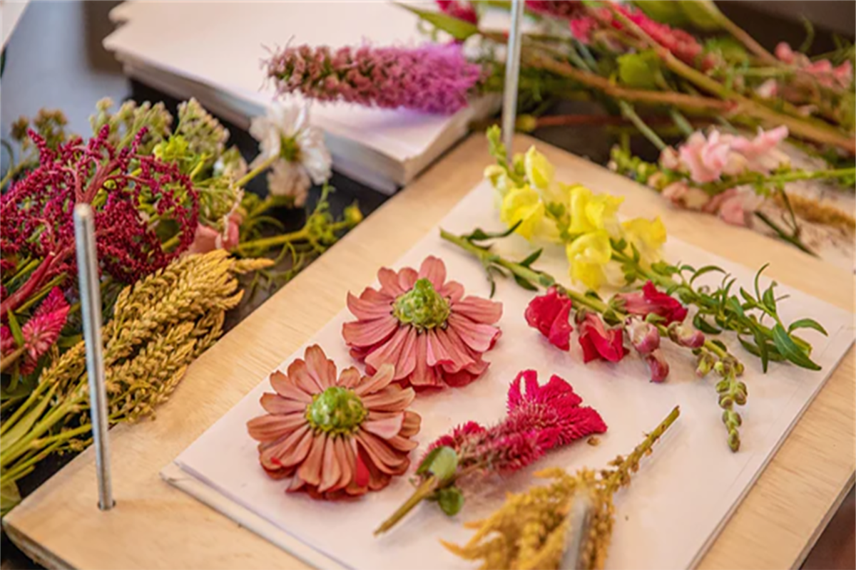 Learn to preserve flowers from home gardens and special occasions ...