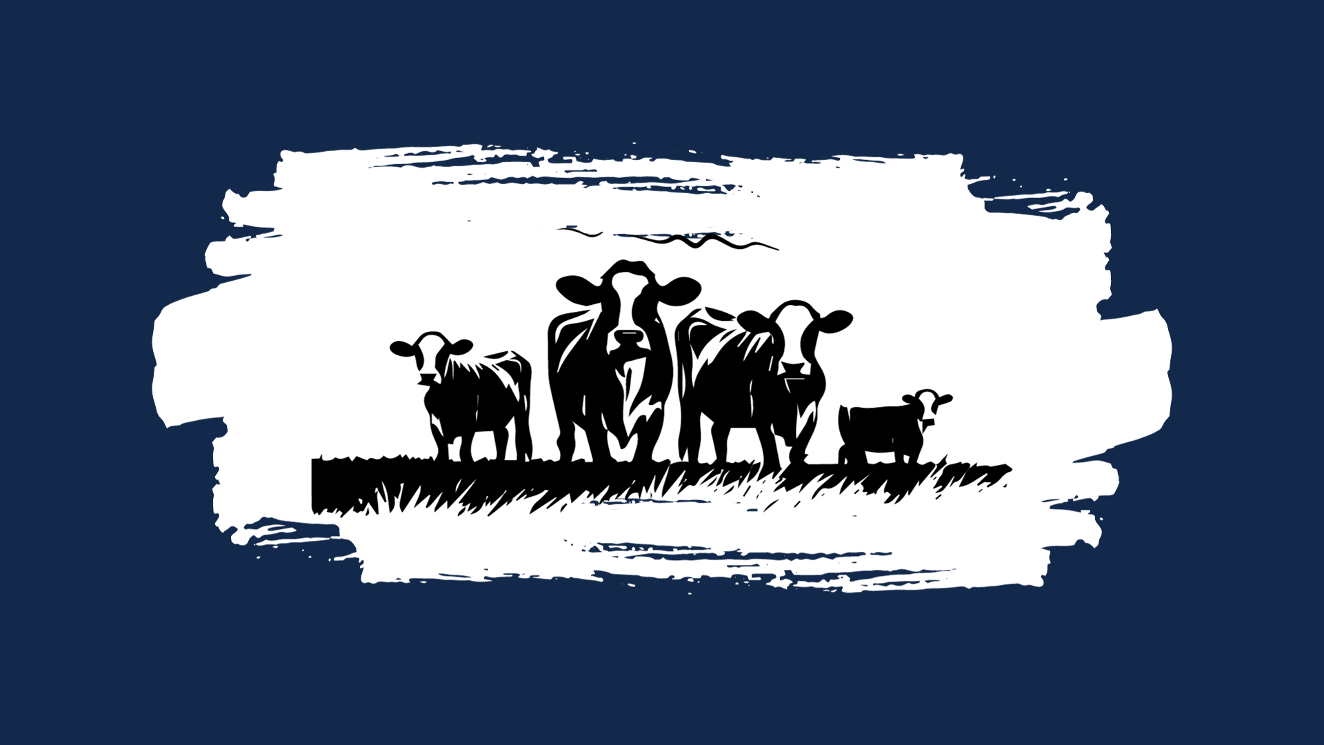 2024 Southern Illinois 4-H and FFA Livestock & Dairy Judging Contest ...