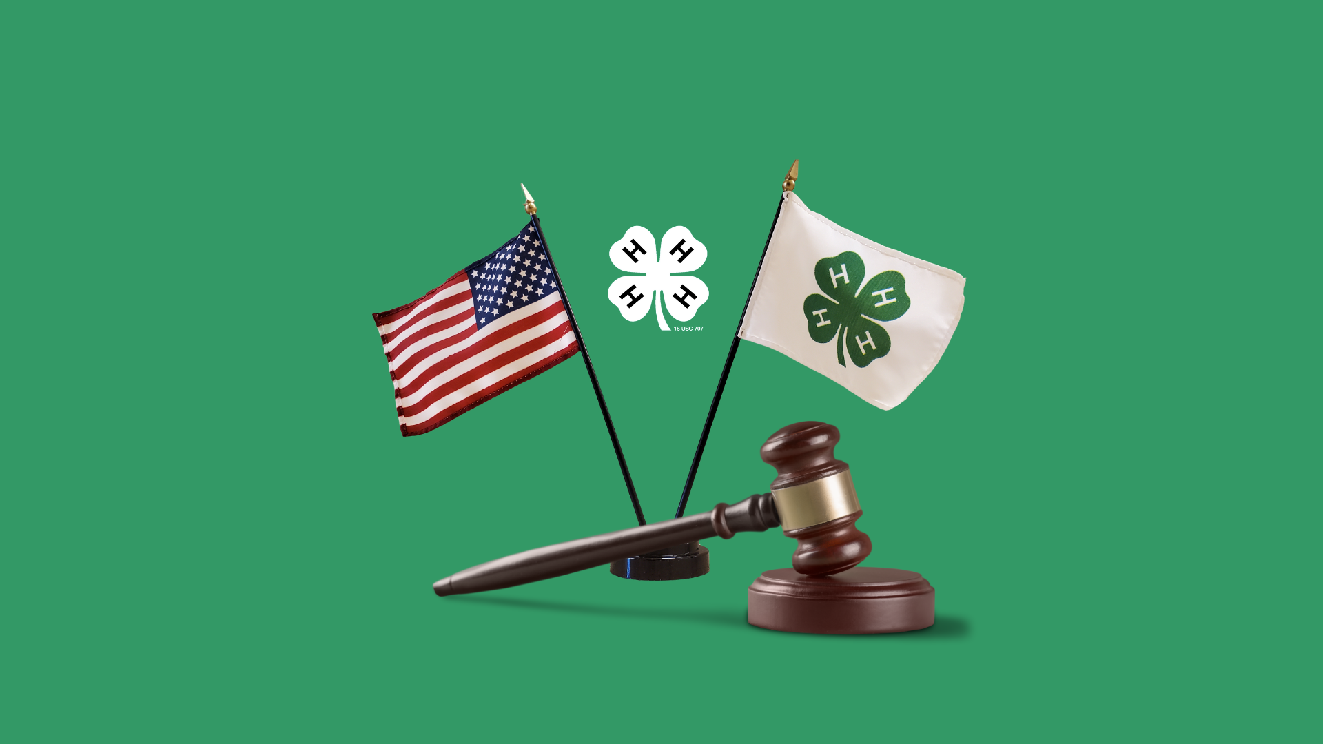 4-H Club Officer Training | Serving Grundy, Kankakee and Will Counties ...