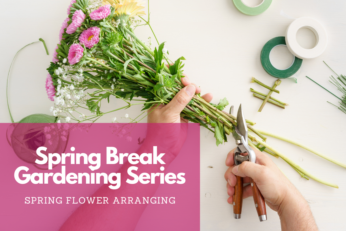 Spring Flower Arranging | Serving Carroll, Lee and Whiteside Counties ...
