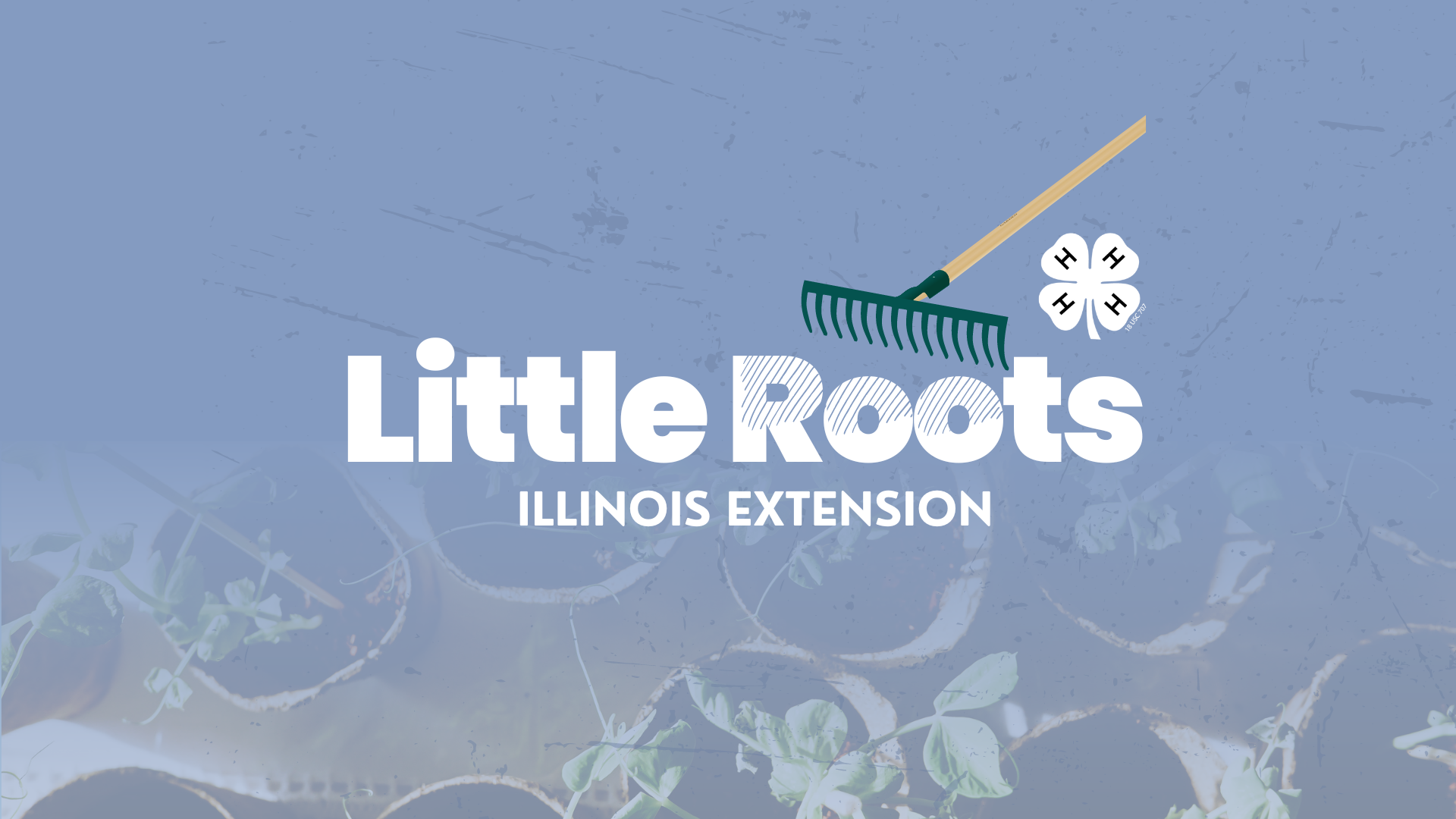 Little Roots: Gardening Program for Cloverbuds | Serving Grundy ...