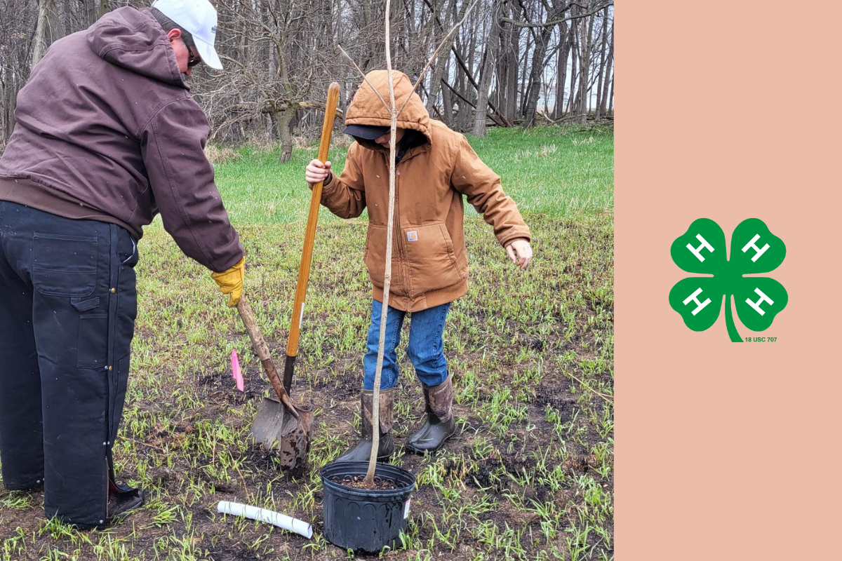 Plant a tree. Save the Planet. Stephenson County 4-H works to create a ...