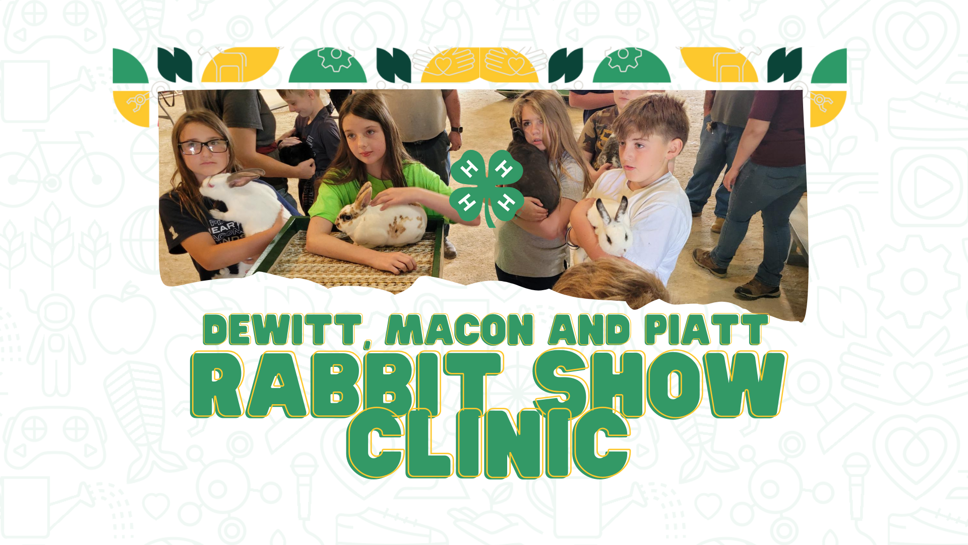 DeWitt, Macon and Piatt 4-H Rabbit Show Clinic! | Serving DeWitt, Macon ...