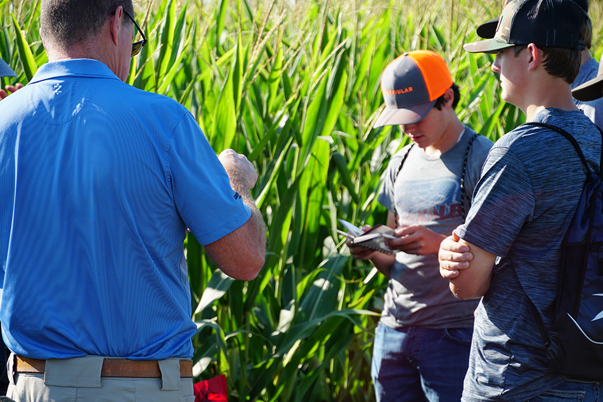 Illinois crop competition calls for youth scouting teams | Serving ...