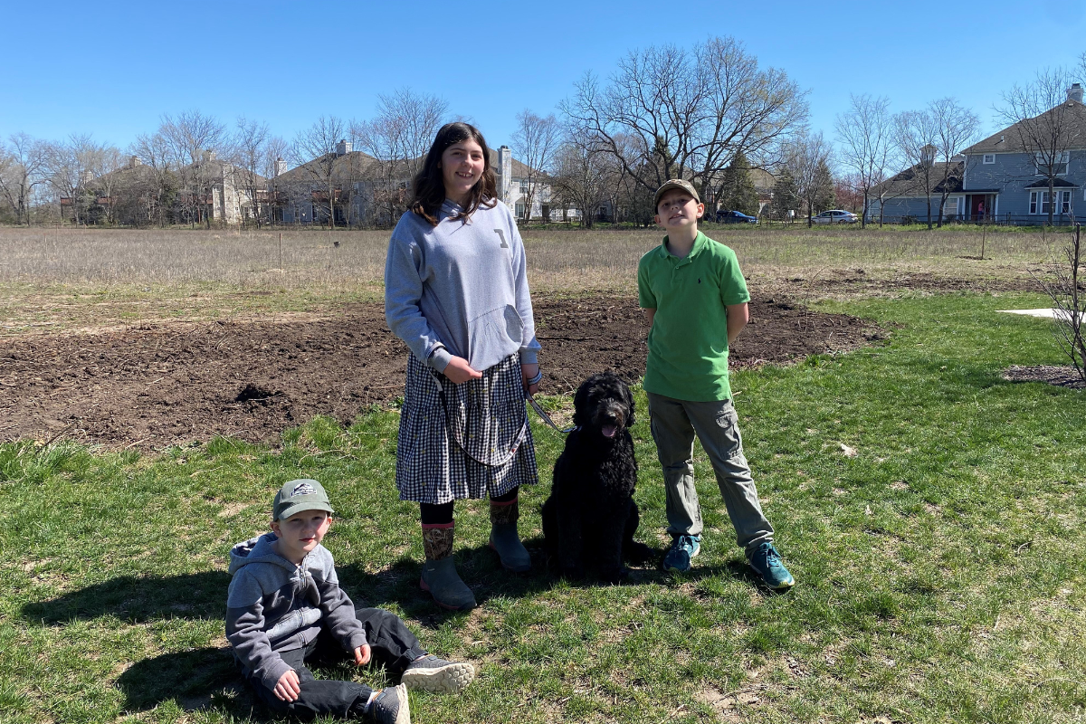 Founders Park now features an oak tree savanna | Serving Jo Daviess ...