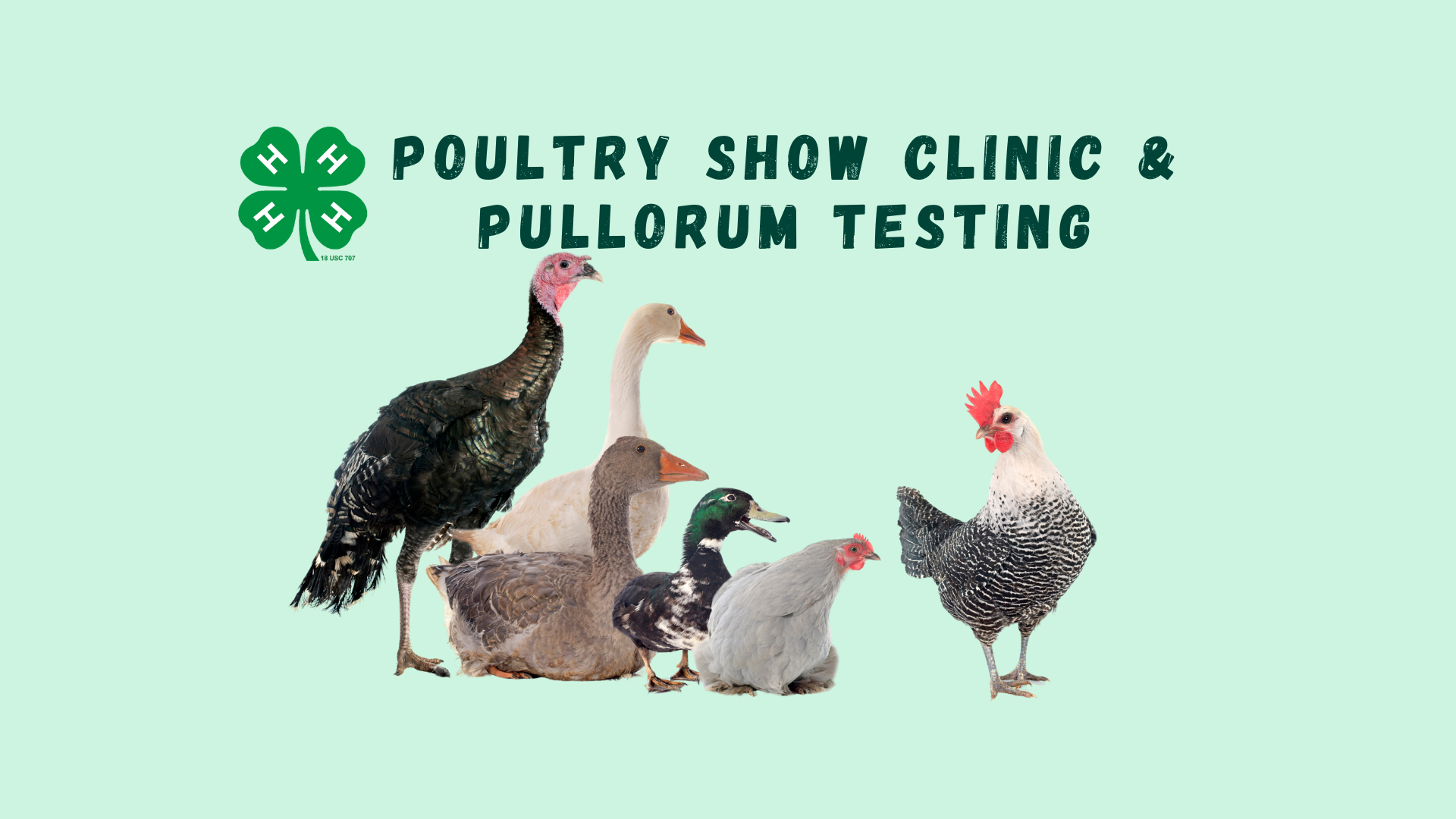 Poultry Show Clinic and Pullorum Testing | Serving DeWitt, Macon and ...
