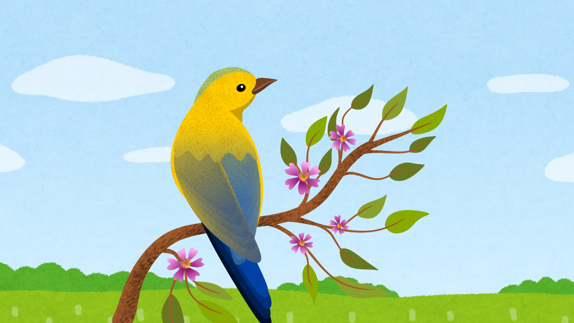 Bird Walk with Brandon Ratcliff | Serving Grundy, Kankakee and Will ...