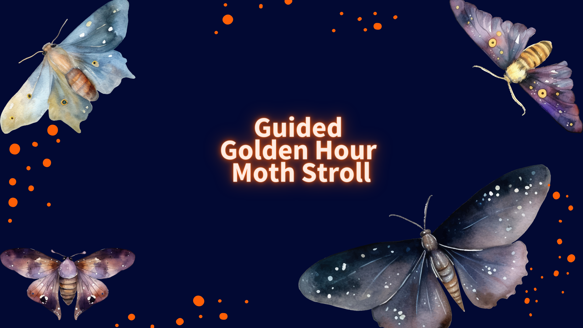 Guided Golden Hour Moth Stroll | Forestry | Illinois Extension | UIUC