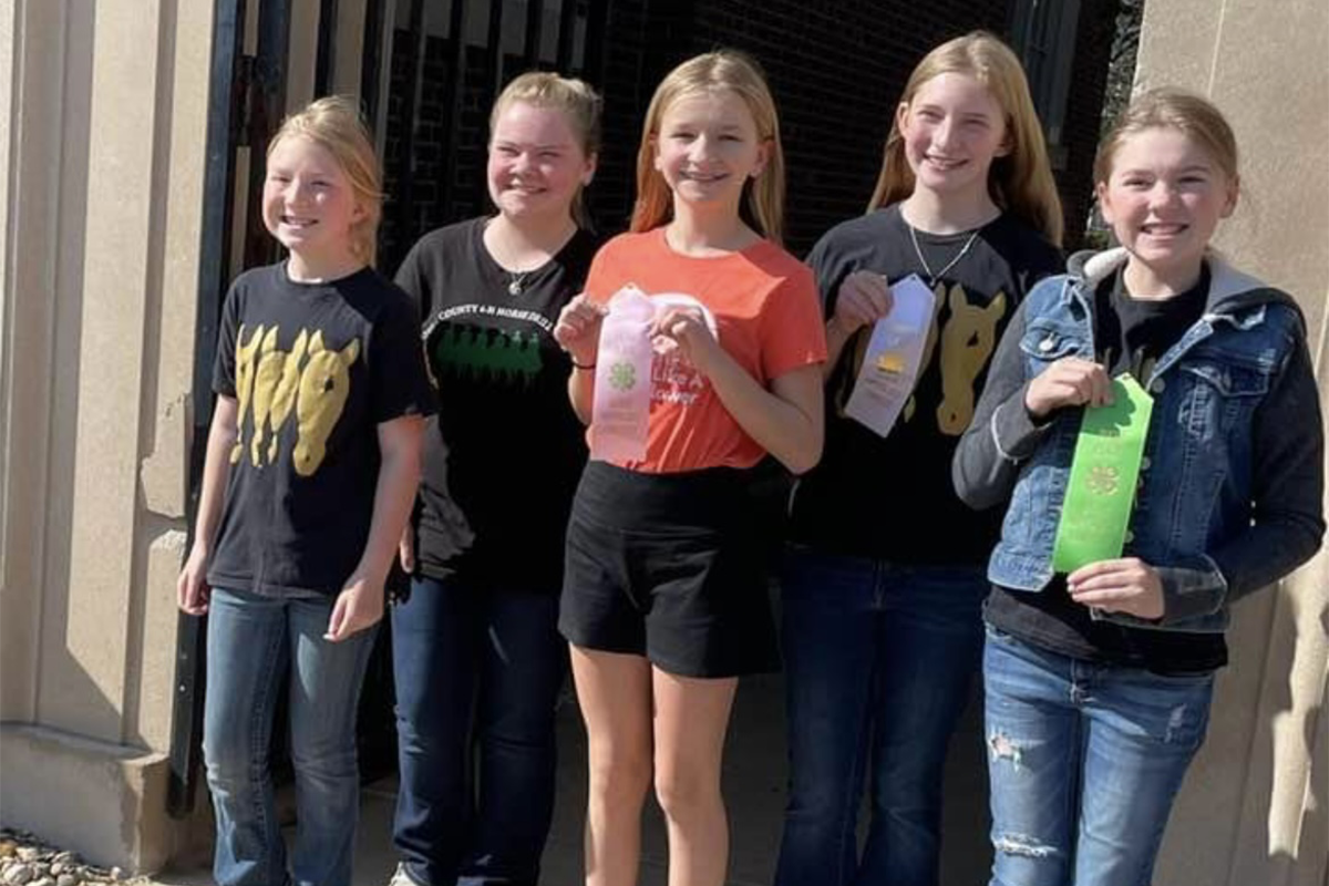 Youth demonstrate equine knowledge, passion for horses in hippology ...