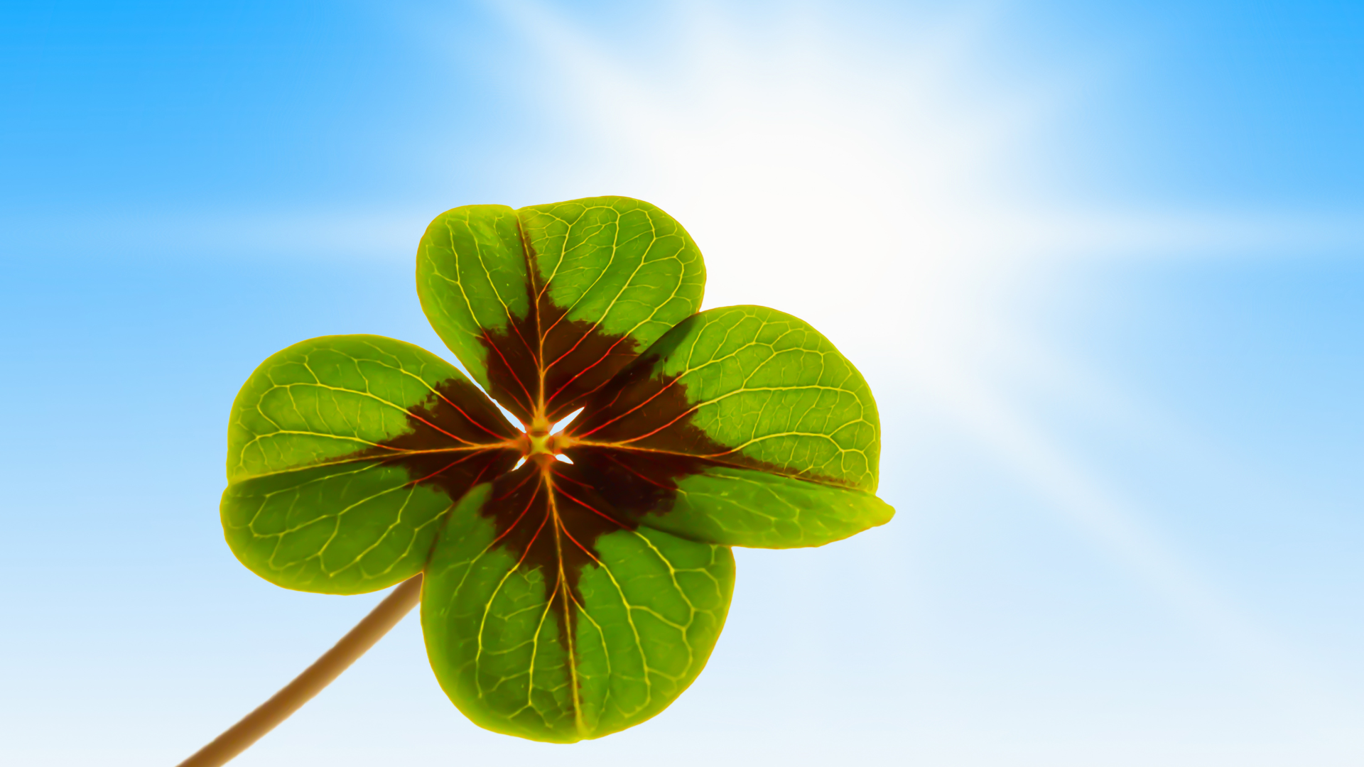 Terrific Teachable Moments App Tour July Series | Serving Bond, Clinton ...