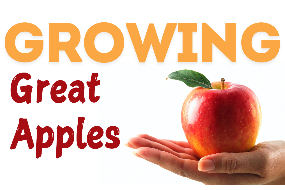 Learn how to grow your own apples | Serving Boone, DeKalb and Ogle ...
