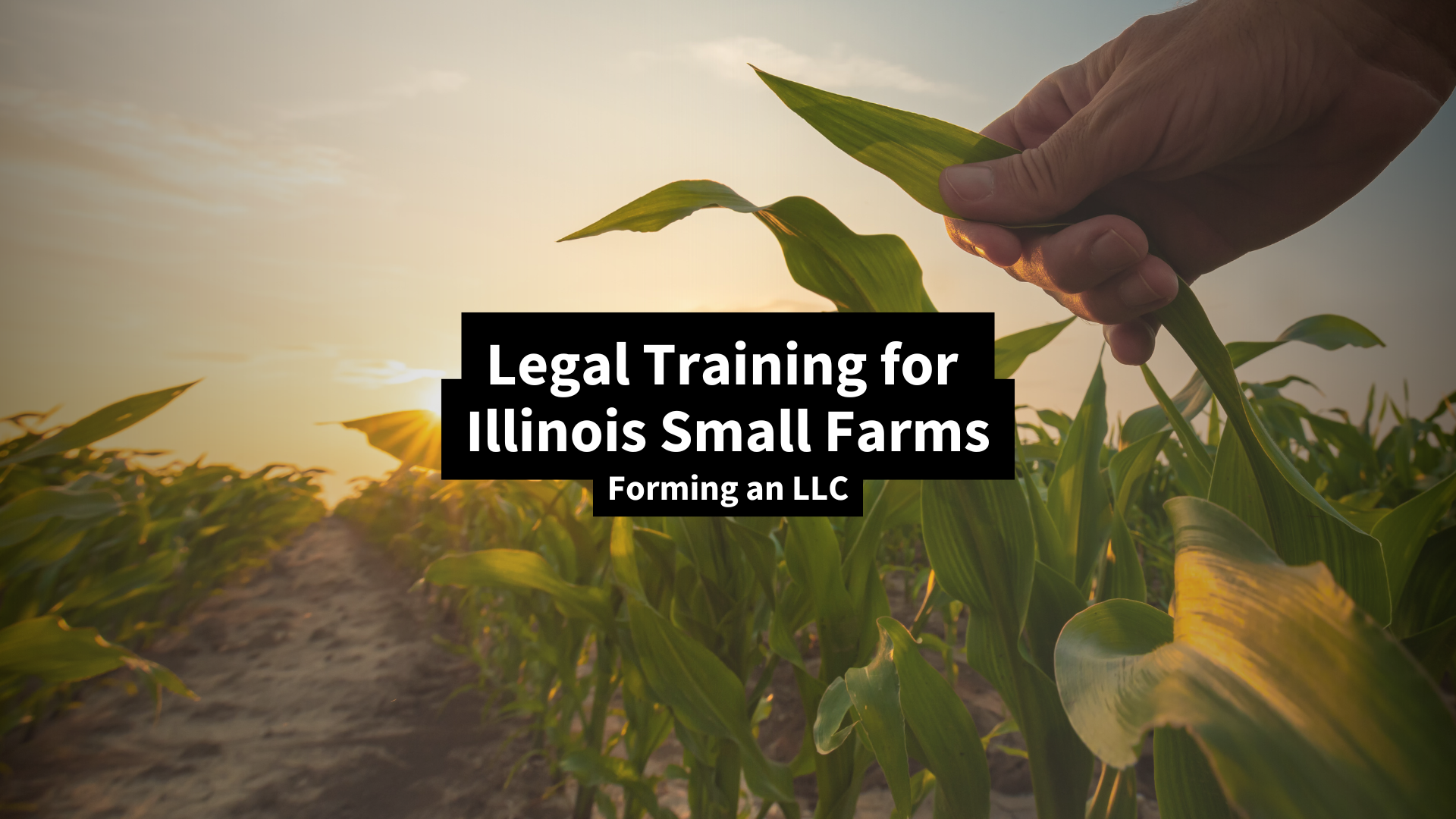 Forming an LLC | Serving Edwards, Lawrence, Richland, Wabash and Wayne ...