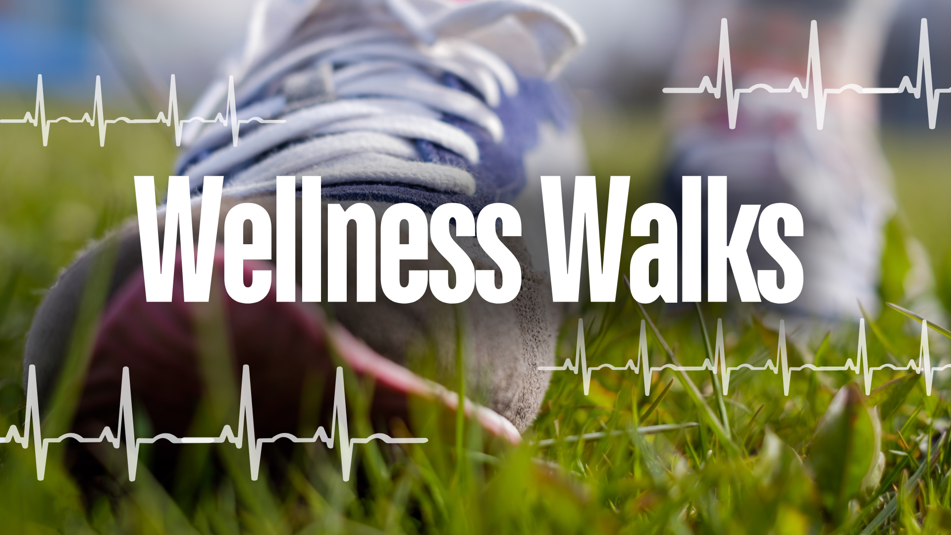 Wellness Walks - Meadowbrook Park | Serving Champaign, Ford, Iroquois ...