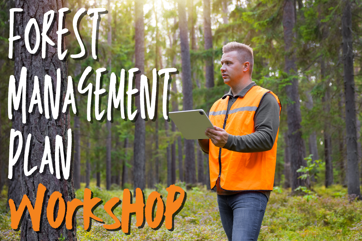 Learn how to properly manage your forest | Serving Boone, DeKalb and ...