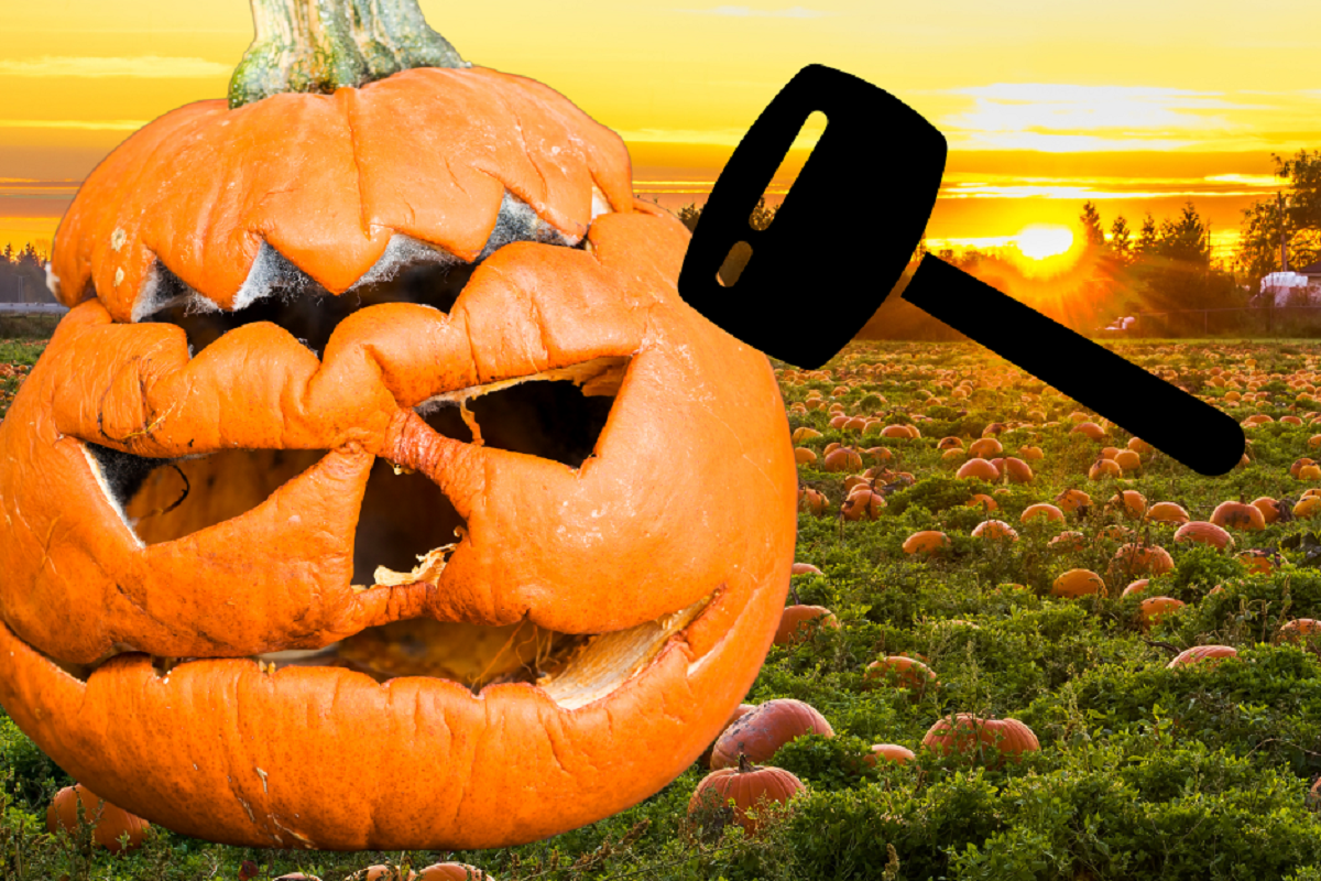 Smash, Don’t Trash, Pumpkins this Season | Serving Carroll, Lee and ...