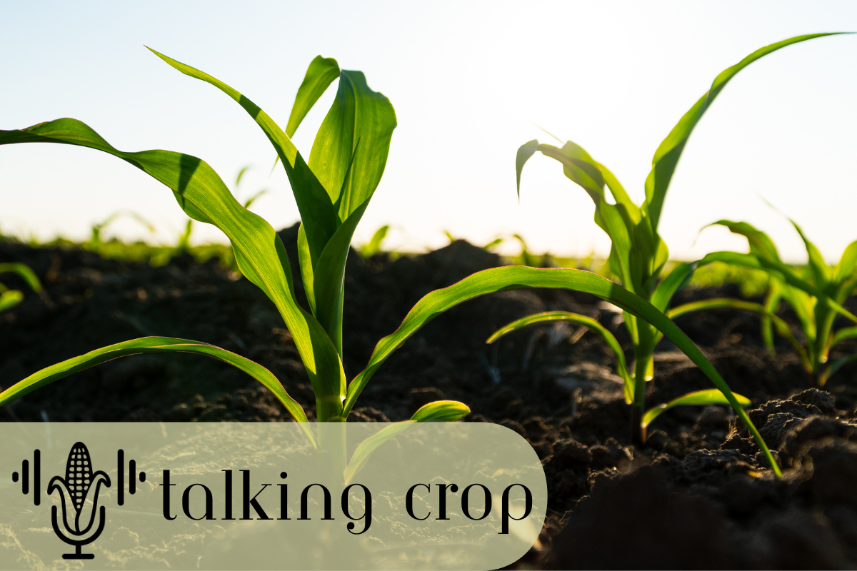Talking Crop Podcast Wraps Up First Season | Serving Boone, DeKalb and ...