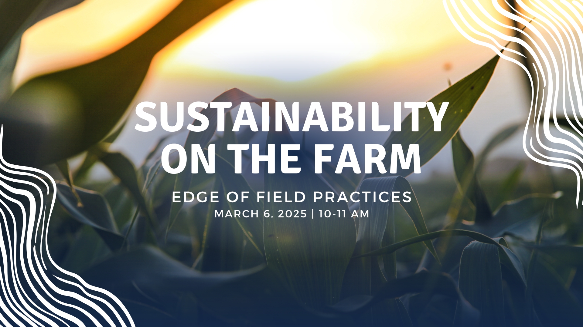 Sustainability on the Farm - Edge of Field Practices | Serving Bureau ...