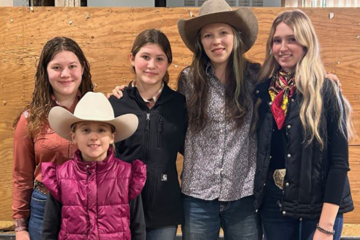 Mastering equine judging: Illinois 4-H State Horse Judging Contest ...