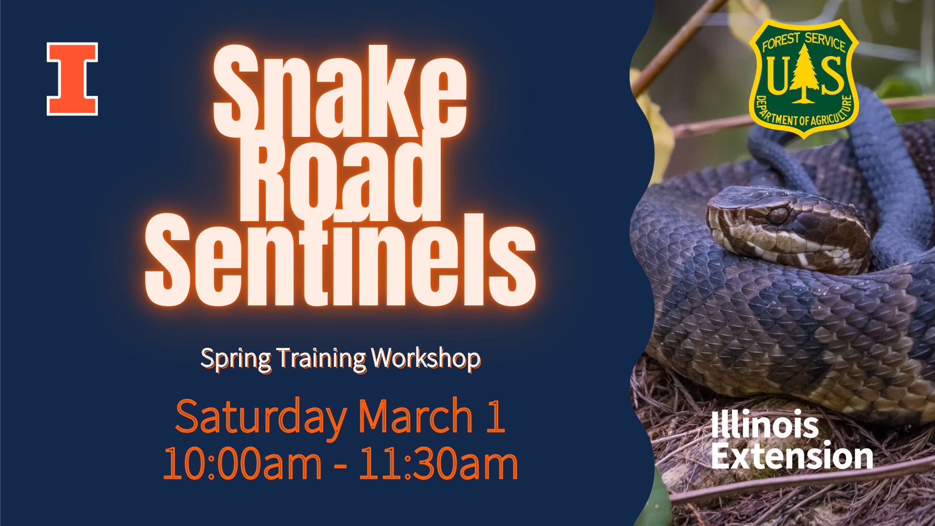 Snake Road Sentinels | Forestry | Illinois Extension | UIUC