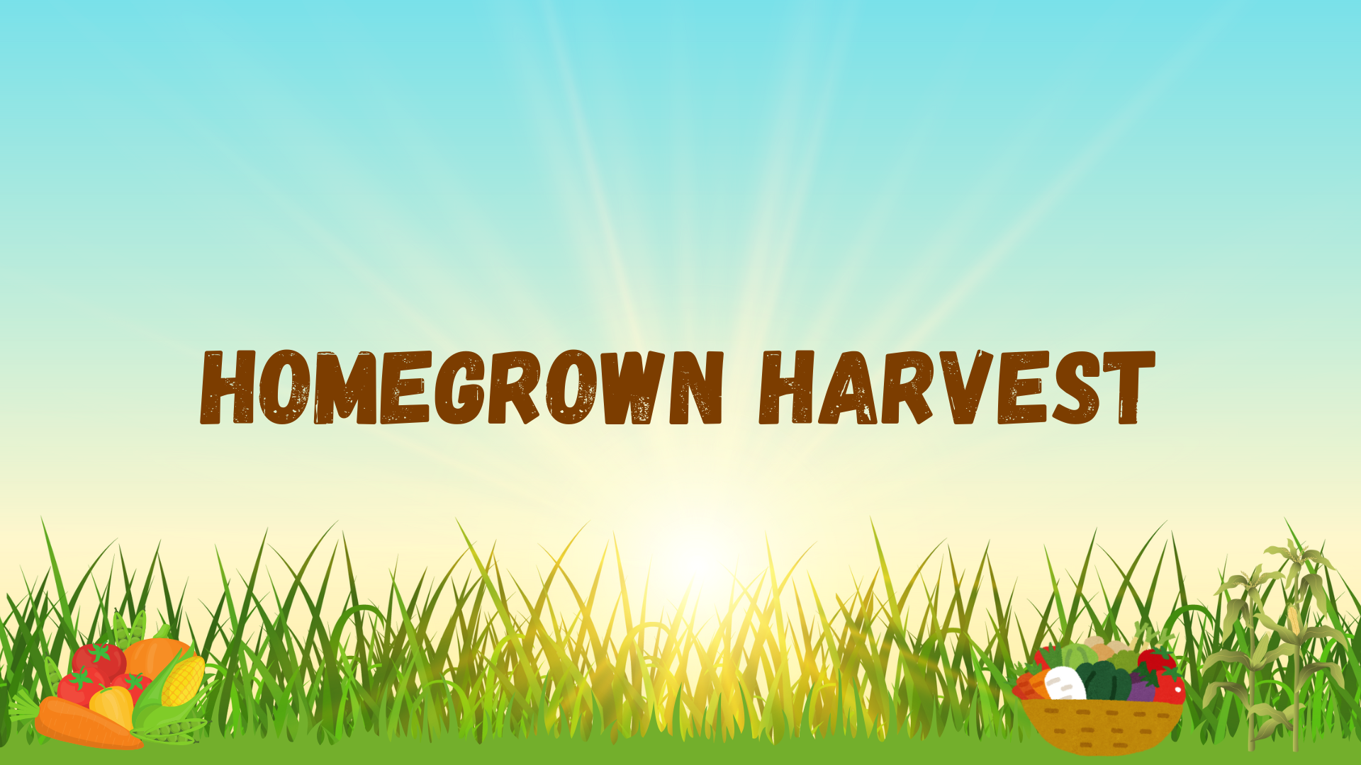 Homegrown Harvest: Seed Starting | Serving DeWitt, Macon and Piatt ...