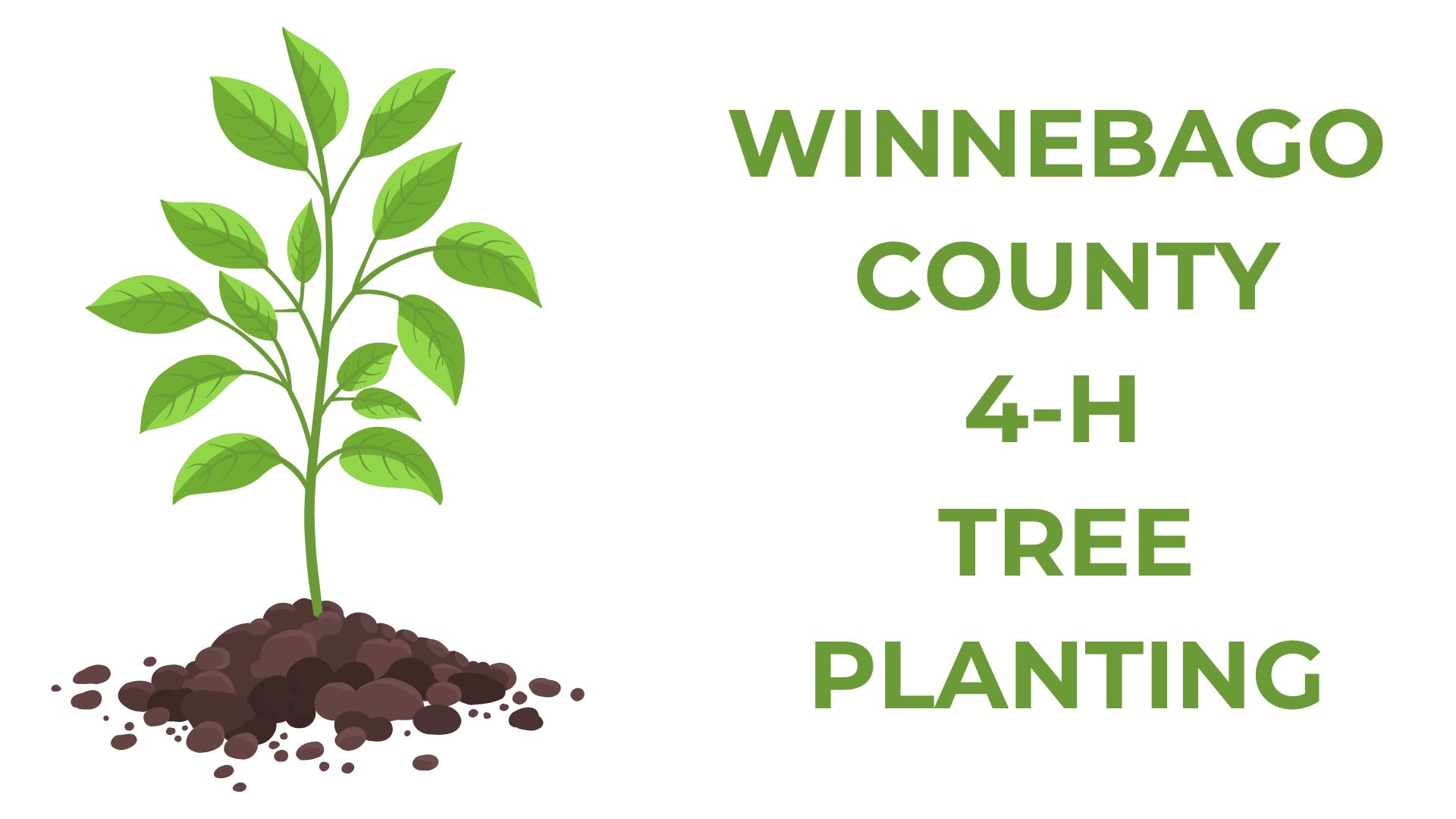 4-H Tree Planting | Illinois Extension | UIUC