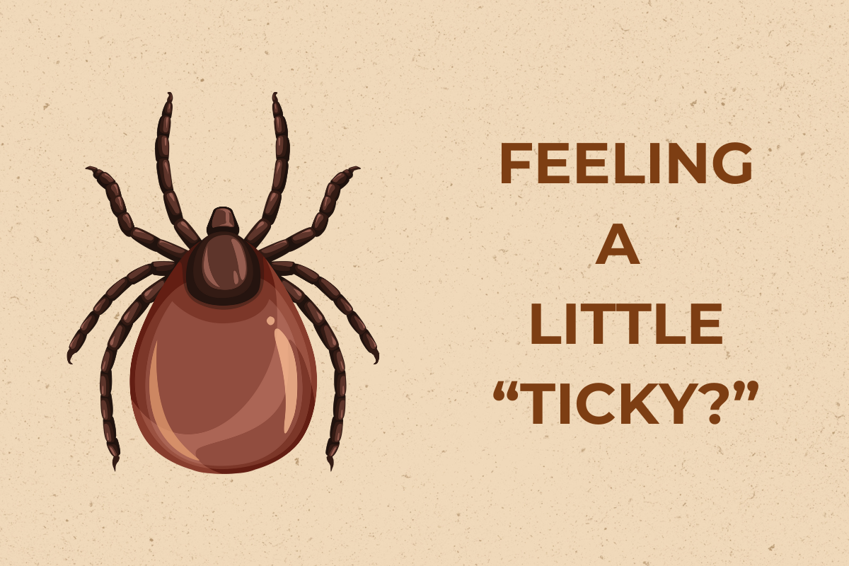 Ticks in Illinois | Serving Carroll, Lee and Whiteside Counties ...