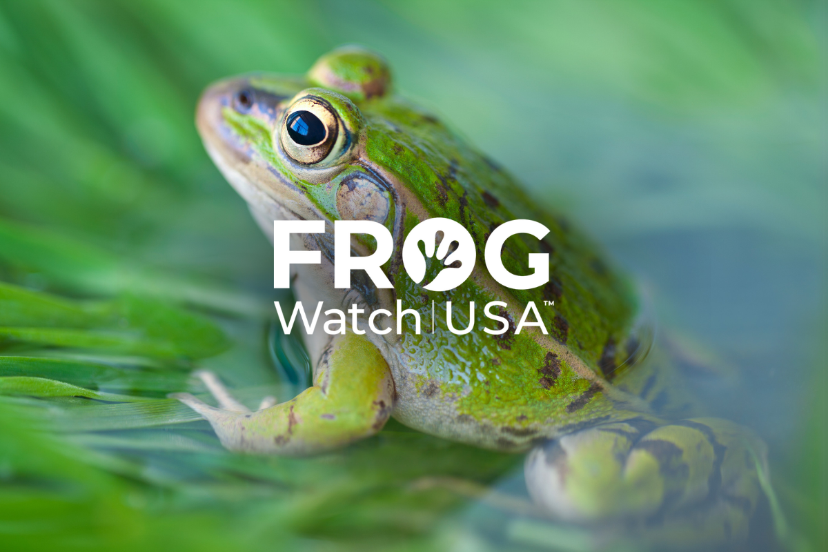 FrogWatch USA | Serving Champaign, Ford, Iroquois and Vermilion ...