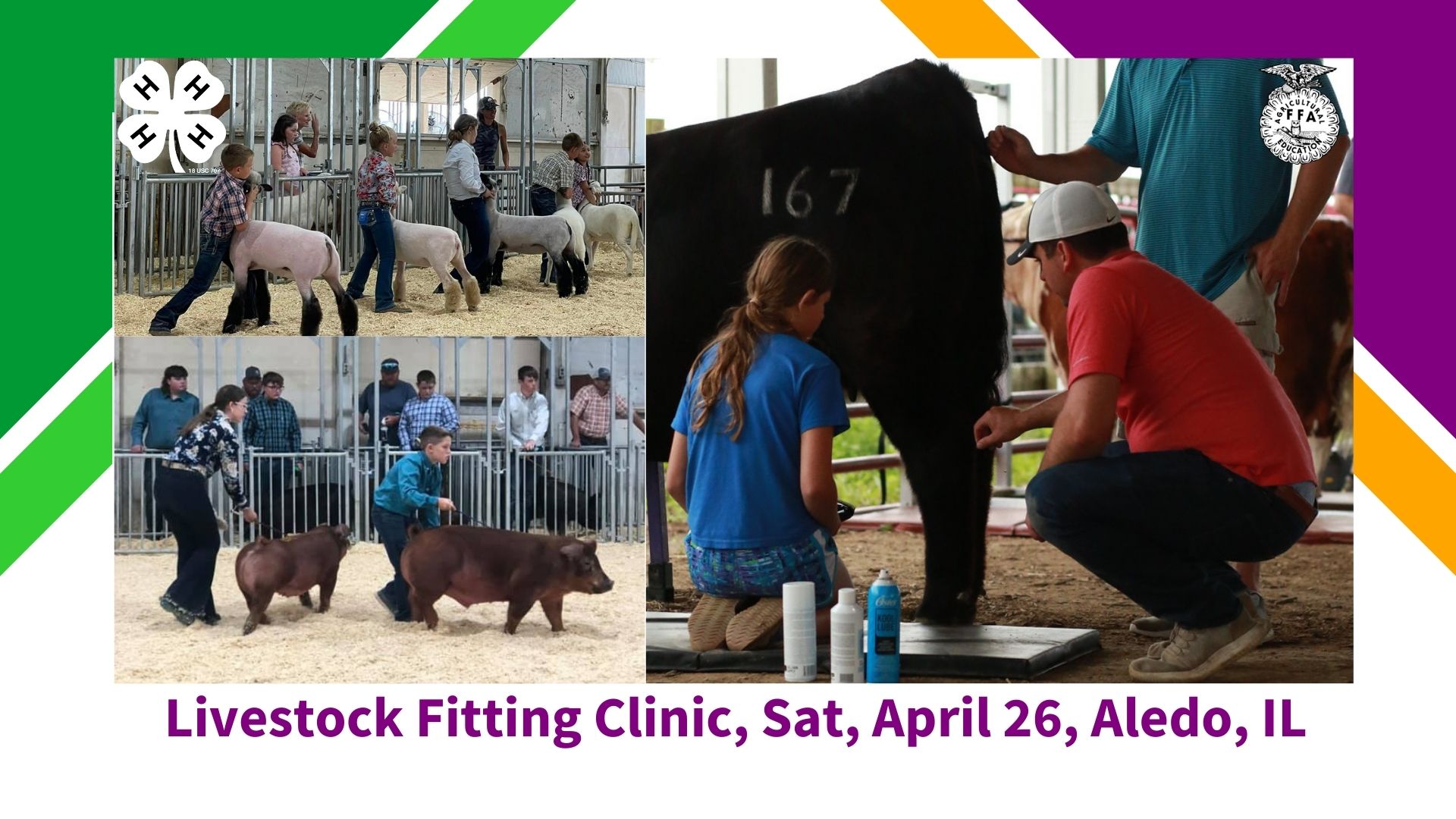 Livestock Fitting Clinic | Serving Henry, Mercer, Rock Island and Stark ...