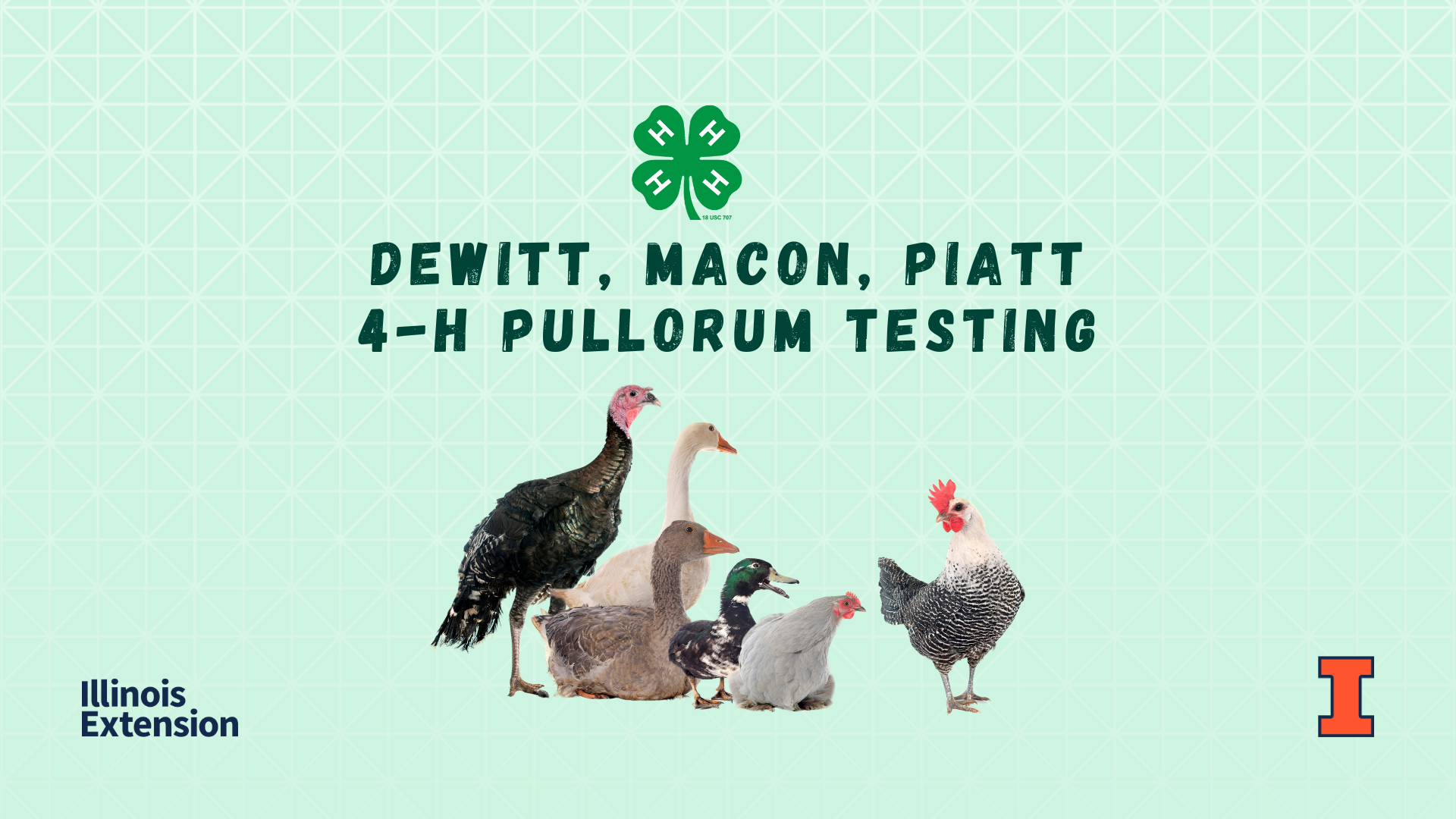 DeWitt, Piatt, & Macon 4-H Pullorum Testing | Serving DeWitt, Macon and ...