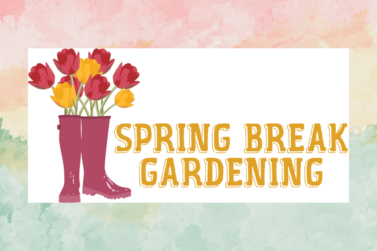 Gardening with Wildlife | Serving Jo Daviess, Stephenson and Winnebago ...